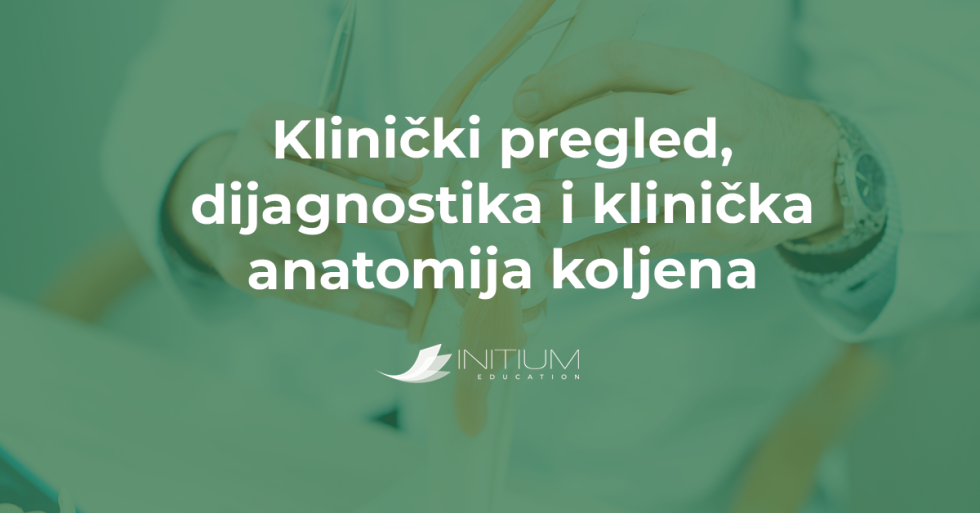 Klinički pregled, dijagnostika i klinička anatomija koljena - Initium ...